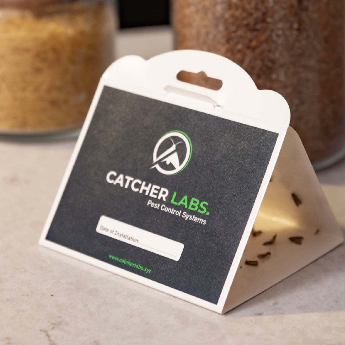 Pantry Moth Traps - One of The Most Affordable and Best Solution for M ...