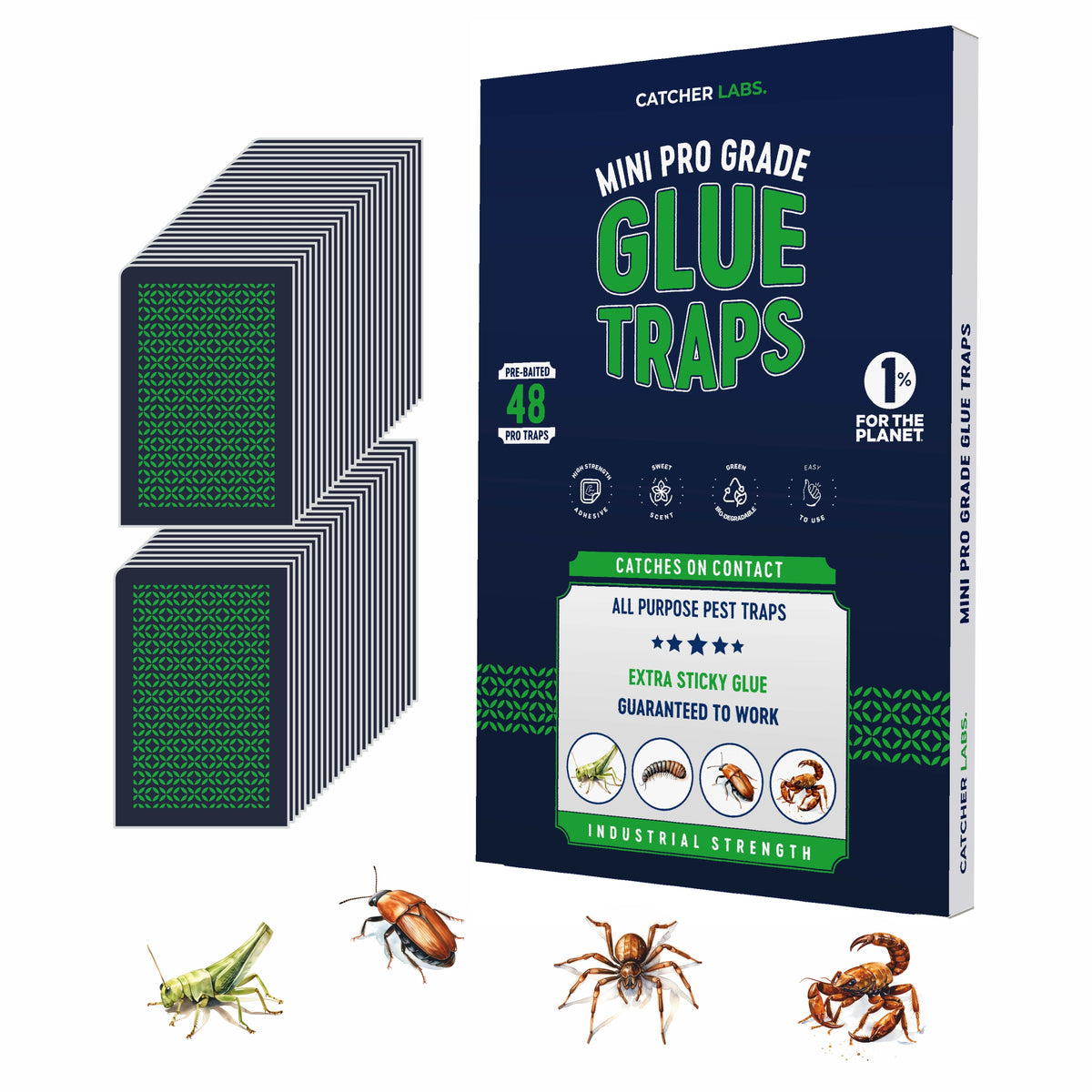 Catcher Labs Mini Insect Traps (48 Traps)