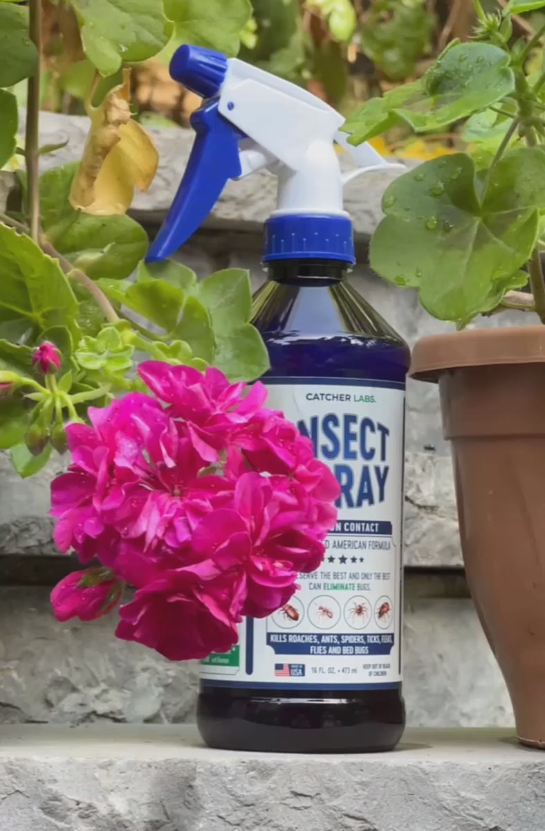 Natural Insect Spray for Indoor and Outdoor | 16 Fl. Oz – Catcher Labs